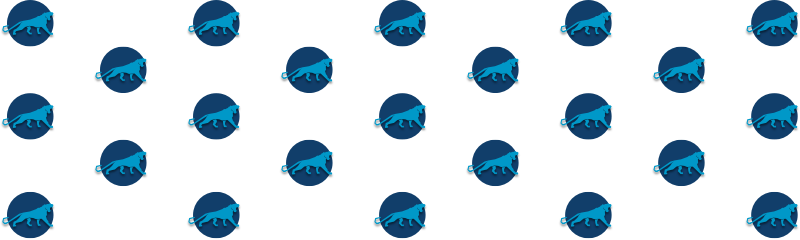 Connectivity | PantherX Operating System